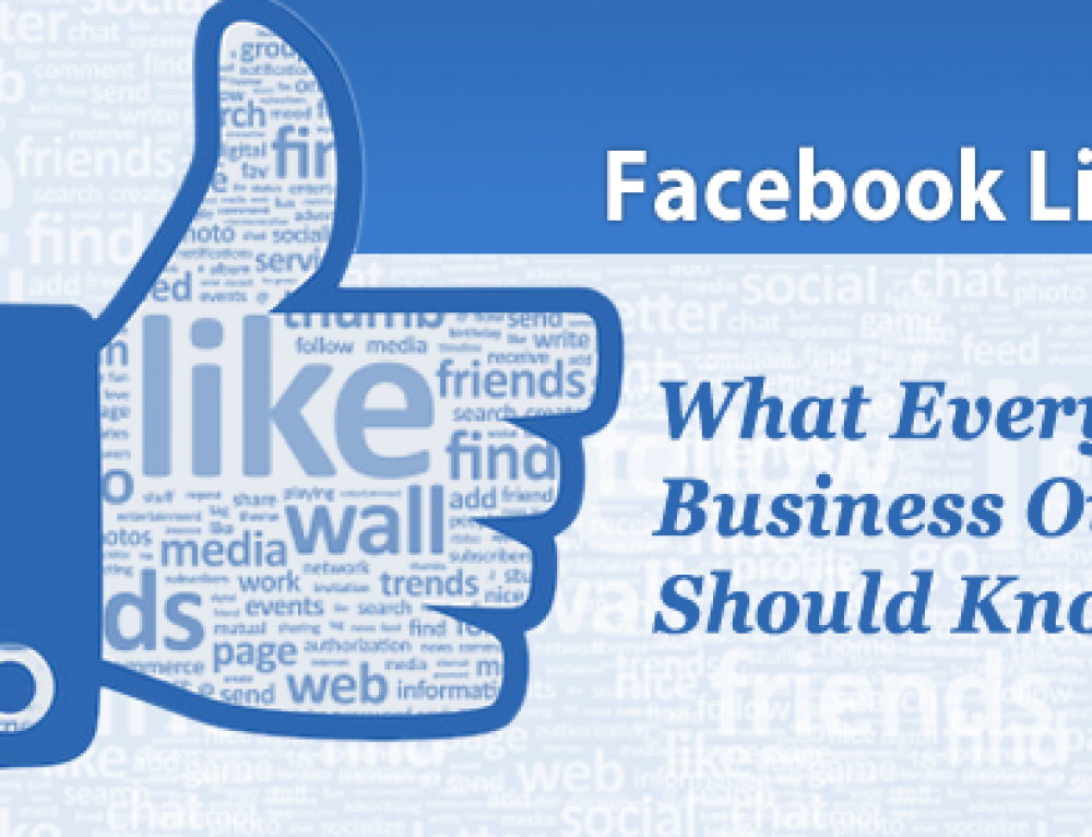 How Michigan Businesses Can Get More Facebook Likes - Infographic